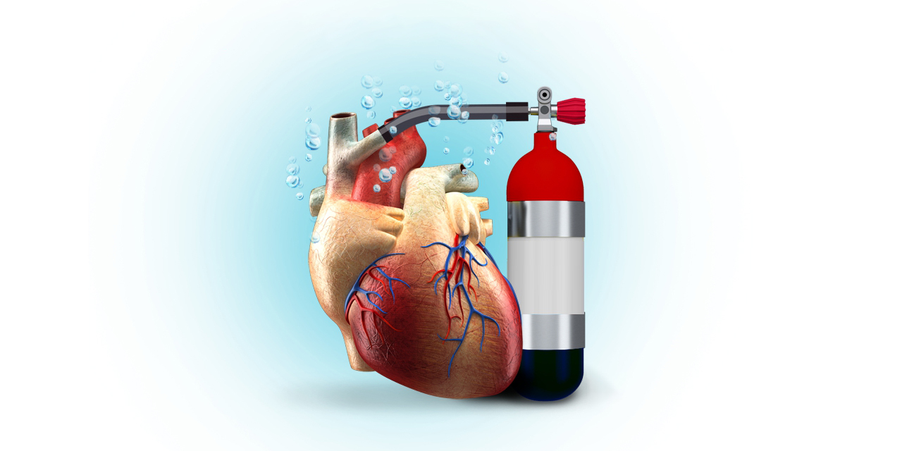 GitHub - proximaclm/animation: Animation Portfolio