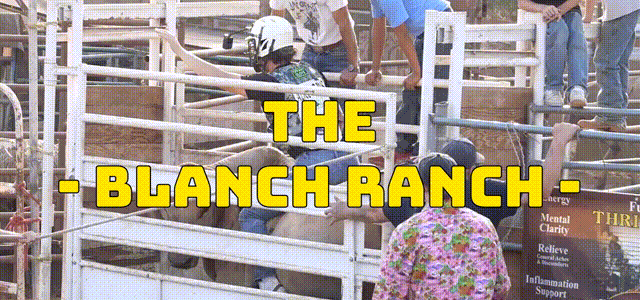 GitHub - Blanchard-Development/smp-wiki: Wiki for the Blanch Ranch SMP