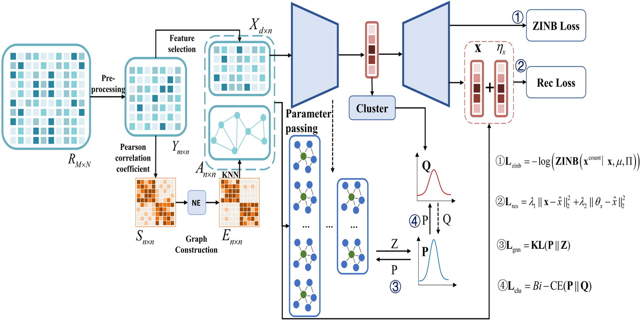 GitHub - gladex/scDGCN: scDGCN: a novel learning framework for deep structured clustering of ...