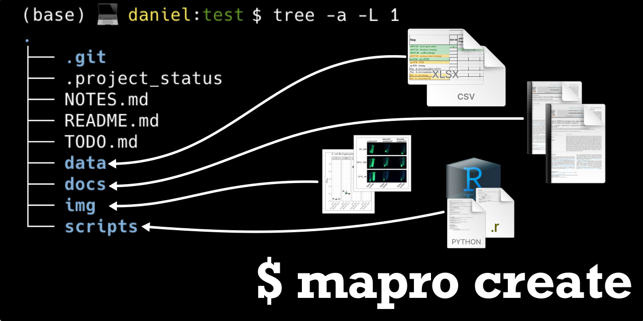 GitHub - Daniel-Ze/mapro: Organize your projects and keep track of them.