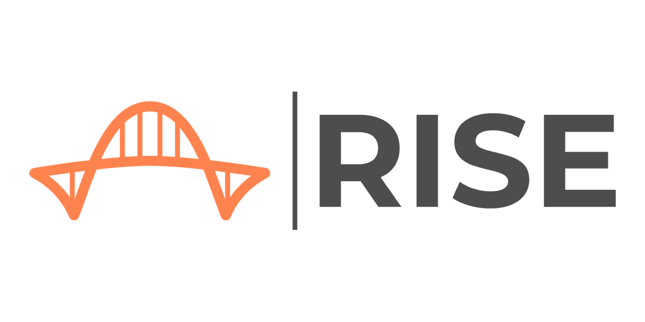 GitHub - rclab-auth/RISE-project: Real-time damage assessment of R/C bridges based on an ...