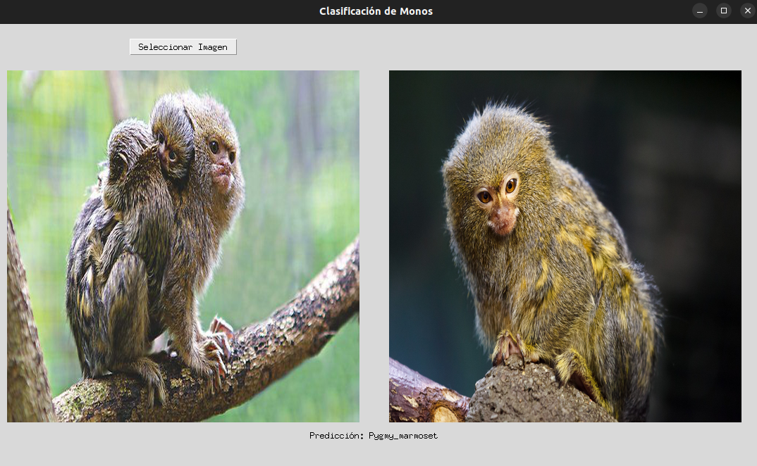 GitHub - juanbarearojo/10-monkey-Classification