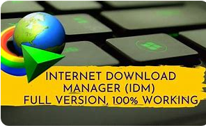 GitHub - MarcusGrant88/IDM