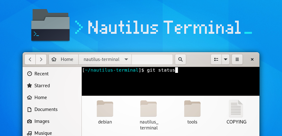 GitHub - flozz/nautilus-terminal: A terminal embedded in Nautilus, the ...
