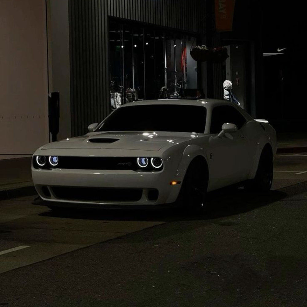 GitHub - saintwtf/saintchecker: A Domain Checker Written in python. With a very simple setup