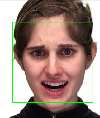 GitHub - Lamis-Amd/emotion-recognition-RAVDESS: multimodal deep neural ...