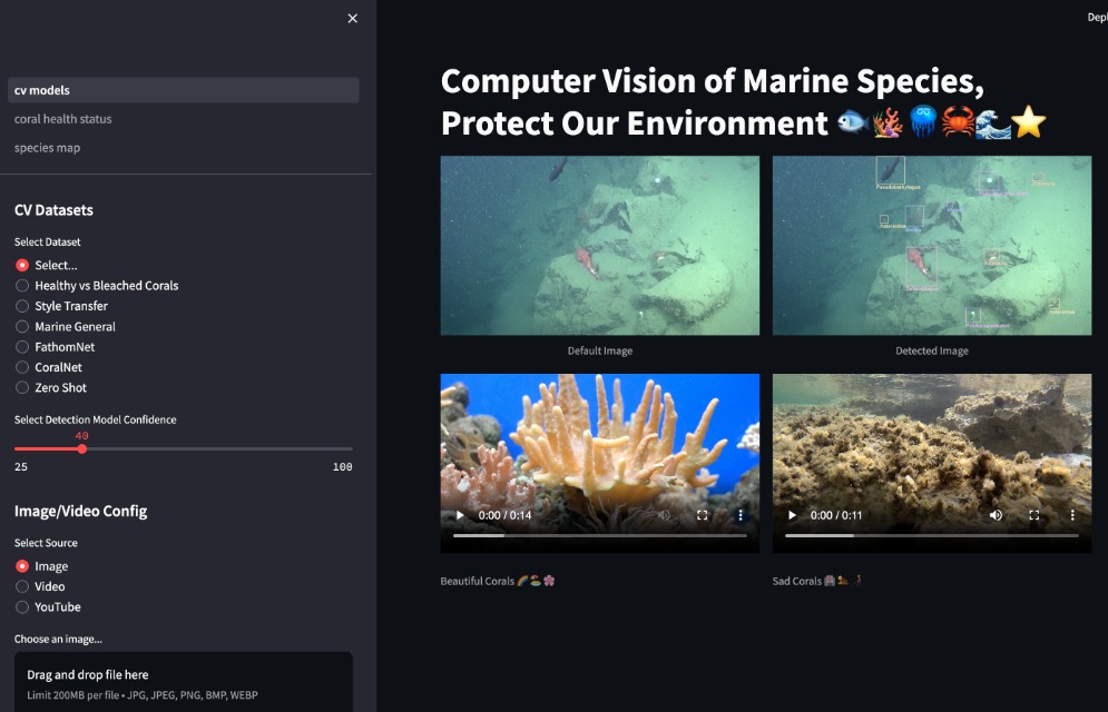 GitHub - QilinZhou56/VME_Detector