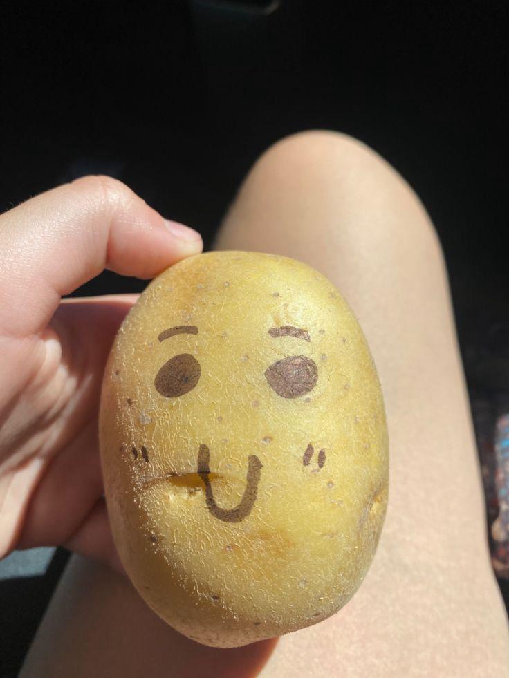 sama/contacto.html at main · samaviz/sama · GitHub