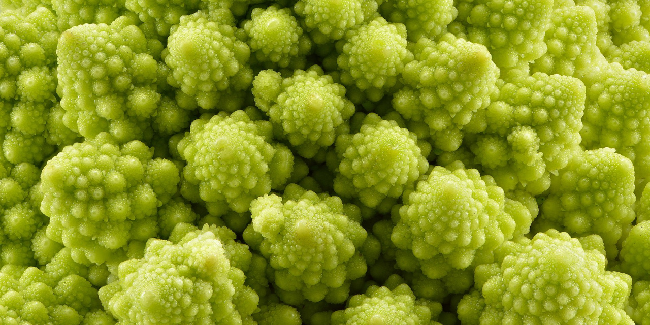 GitHub - lindenb/microstatements: cutsom RDF statements for bioinformatics to complete larger ...