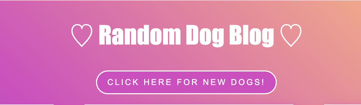 GitHub - hannah-lindback/hannah-lindback.github.io: A simple project ...