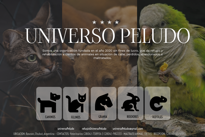 GitHub - Mazo667/UniversoPeludoWeb: TP Programacion Web I "Universo Peludo"