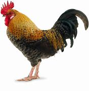 html-protfolio/index.html at main · alexsend1314/html-protfolio · GitHub