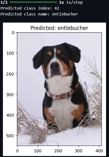 Dog_breed_Classification/model3.ipynb at main · Adi030609/Dog_breed_Classification · GitHub