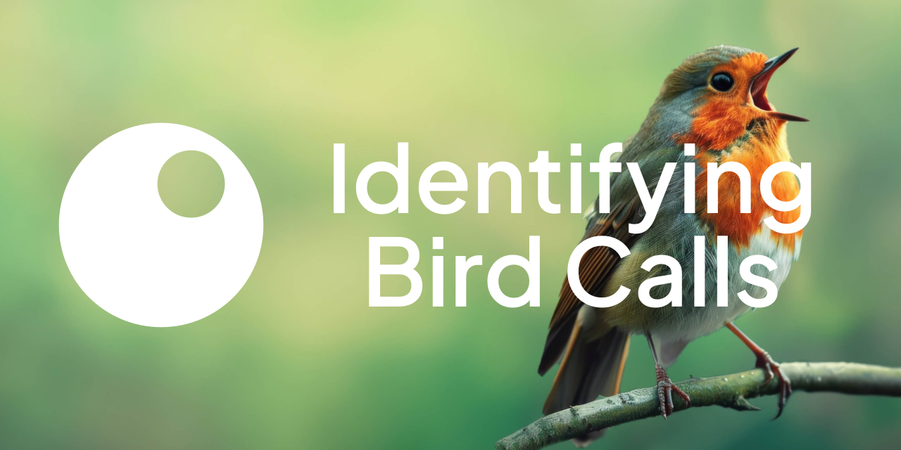 iv-q4-birdclef-2024/train.py at main · TeamEpochGithub/iv-q4-birdclef-2024 · GitHub