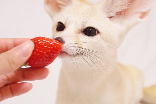 GitHub - Xarano-GIT/Faster-Loot: Removes the delay with the loot frame and makes it instant.