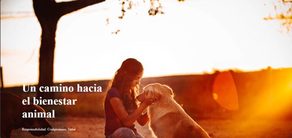 GitHub - XavierSaurio/Esperanza-Animal