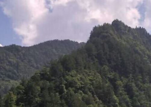 GitHub - hzy-cq/cqyd