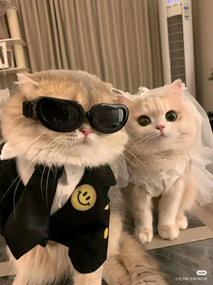 Github Yousrchivetoday I Learned A Collection Of Concise Write Ups On Small Things I Learn