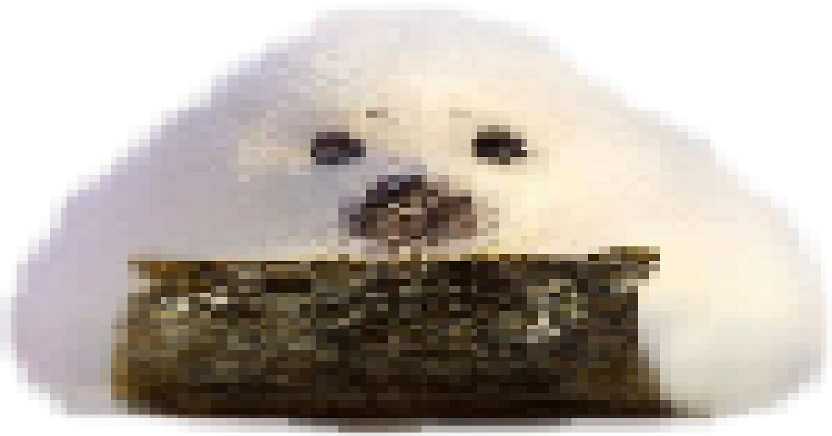 frutigeraero · GitHub Topics · GitHub