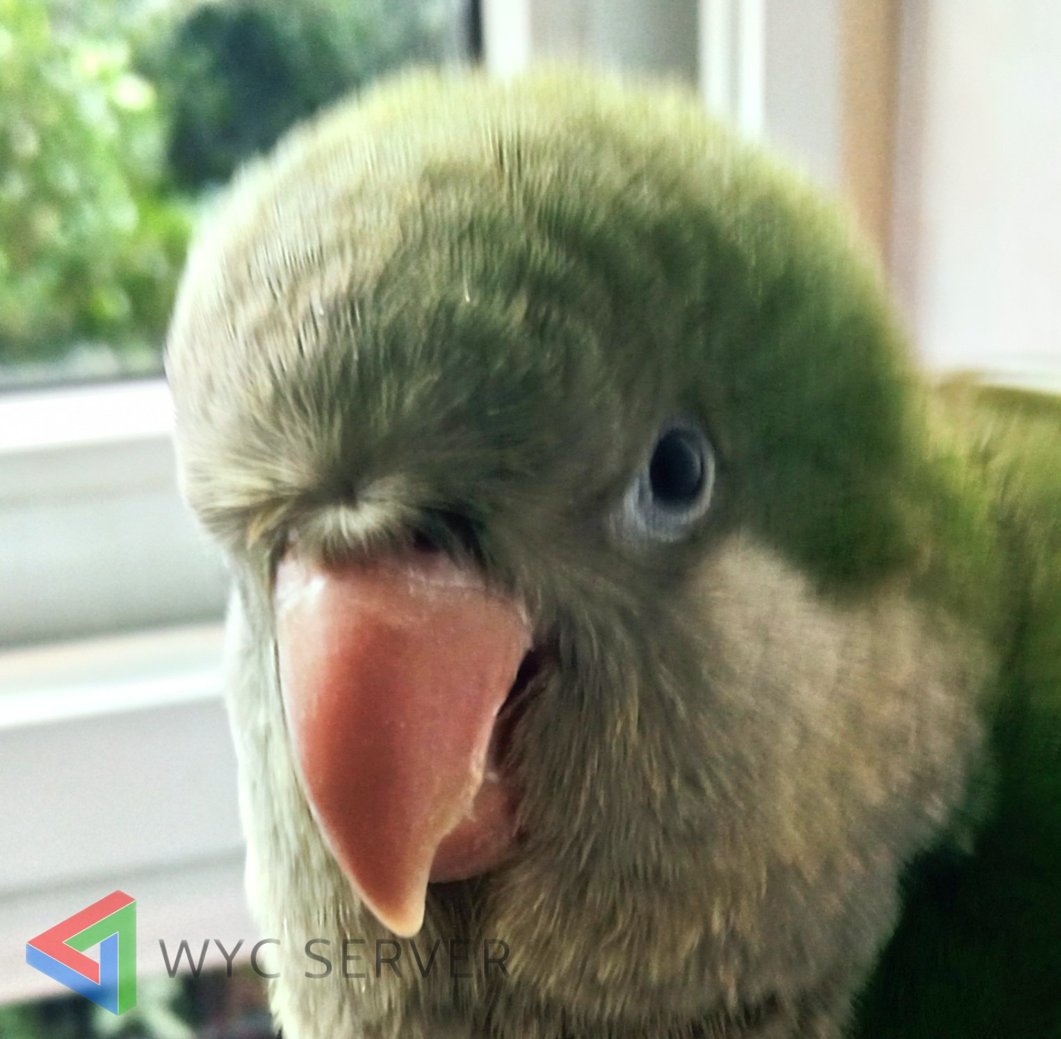 Parrot_Aria_Invoker/README_cns.md at main · Squirrel963/Parrot_Aria_Invoker · GitHub