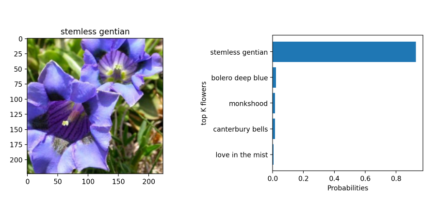 Github Kbahajjajaipnd Flower Classifier Udacity Project Create Your Own Image Classifier