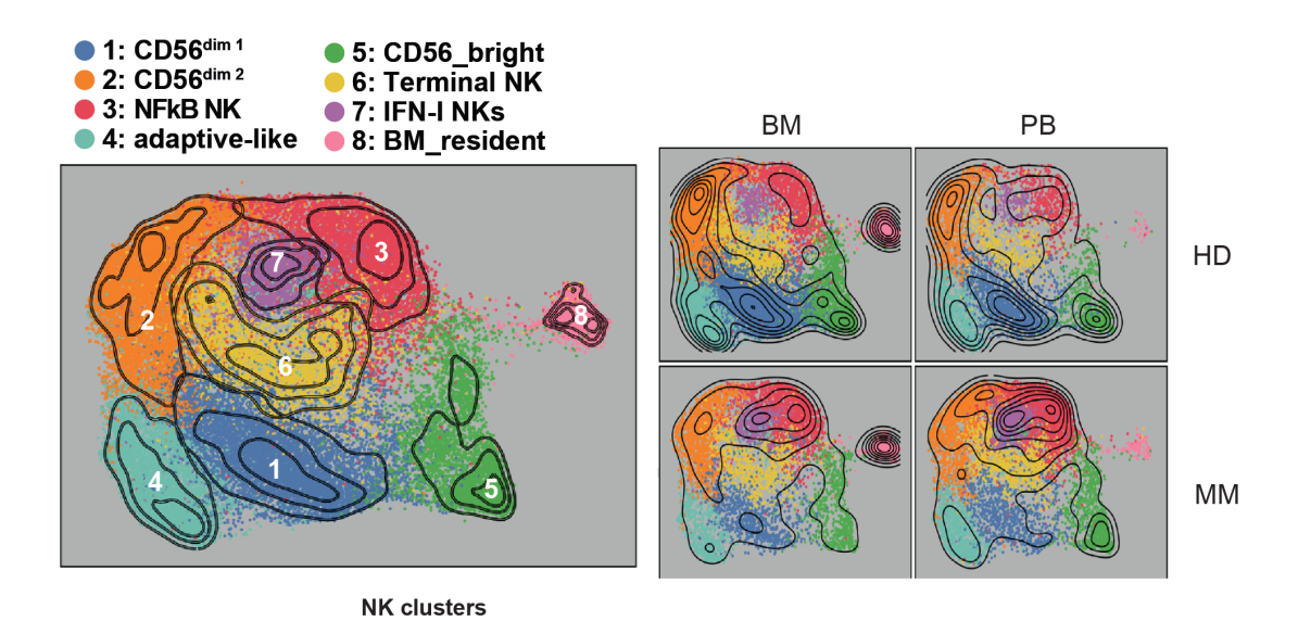 GitHub - MartinetLab/NKcell_dysfunction_MM_Blood24: This repository contains the scripts ...