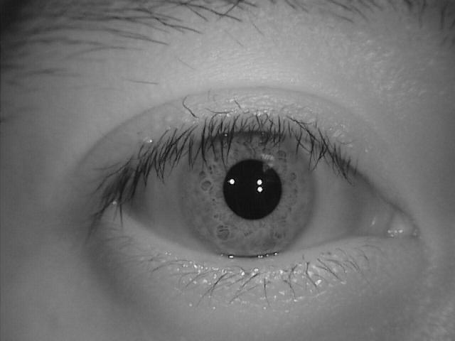 GitHub - elymsyr/iris-recognition: Developing a robust tool for iris image analysis and ...