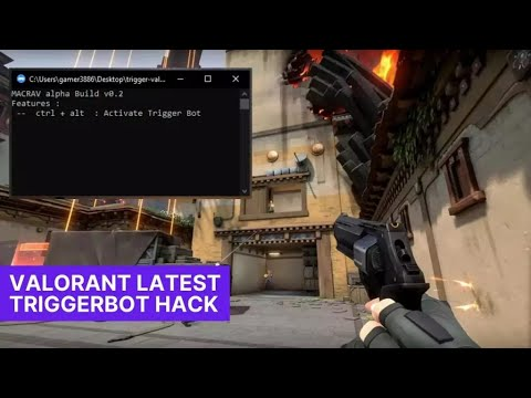 Valorant-Triggerbot/main.py at main · kaurshmoke/Valorant-Triggerbot · GitHub
