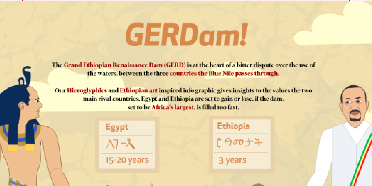 GitHub - ngarius/GERDam-