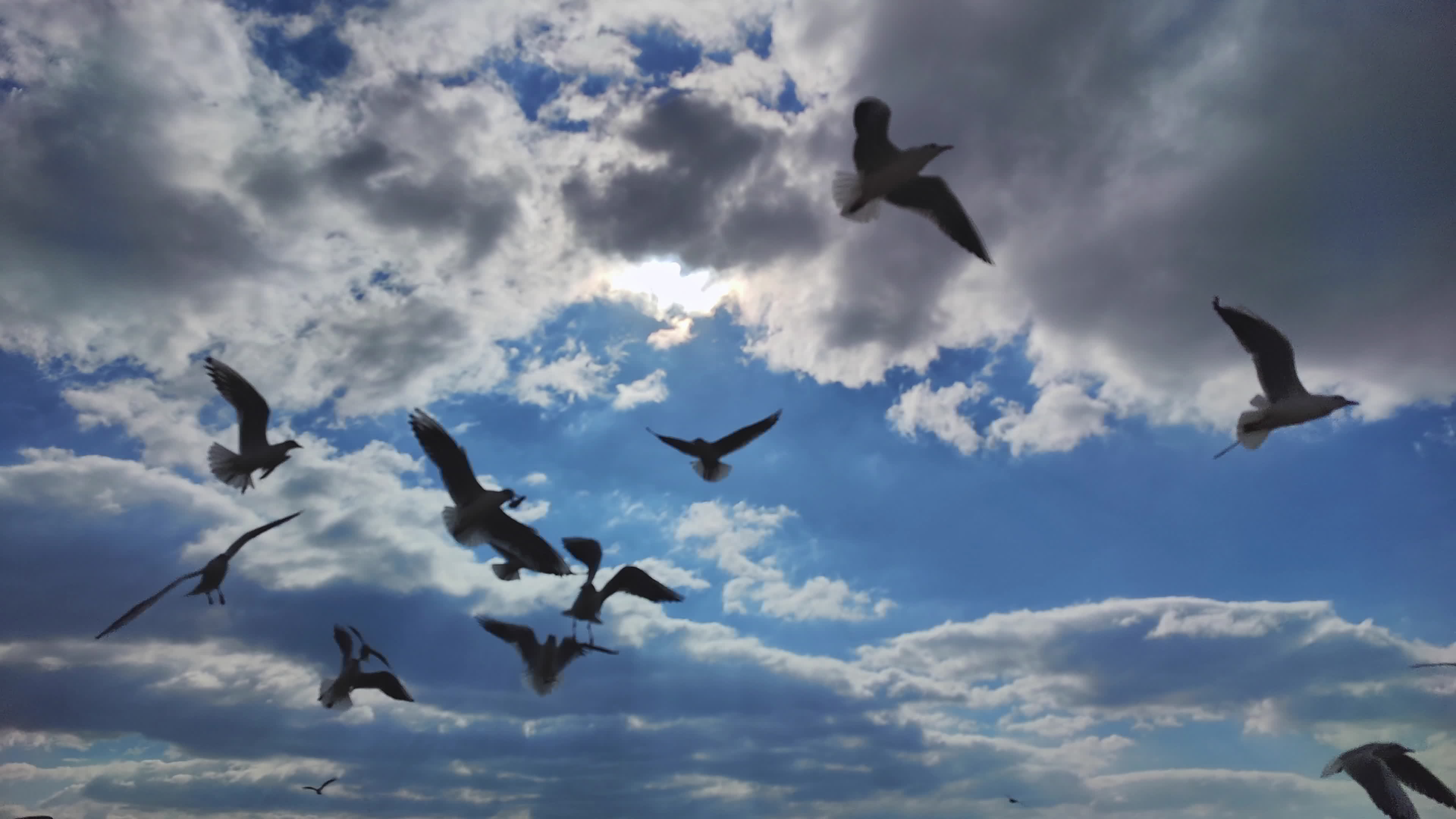 GitHub - Eroscardenas/OwnCloud