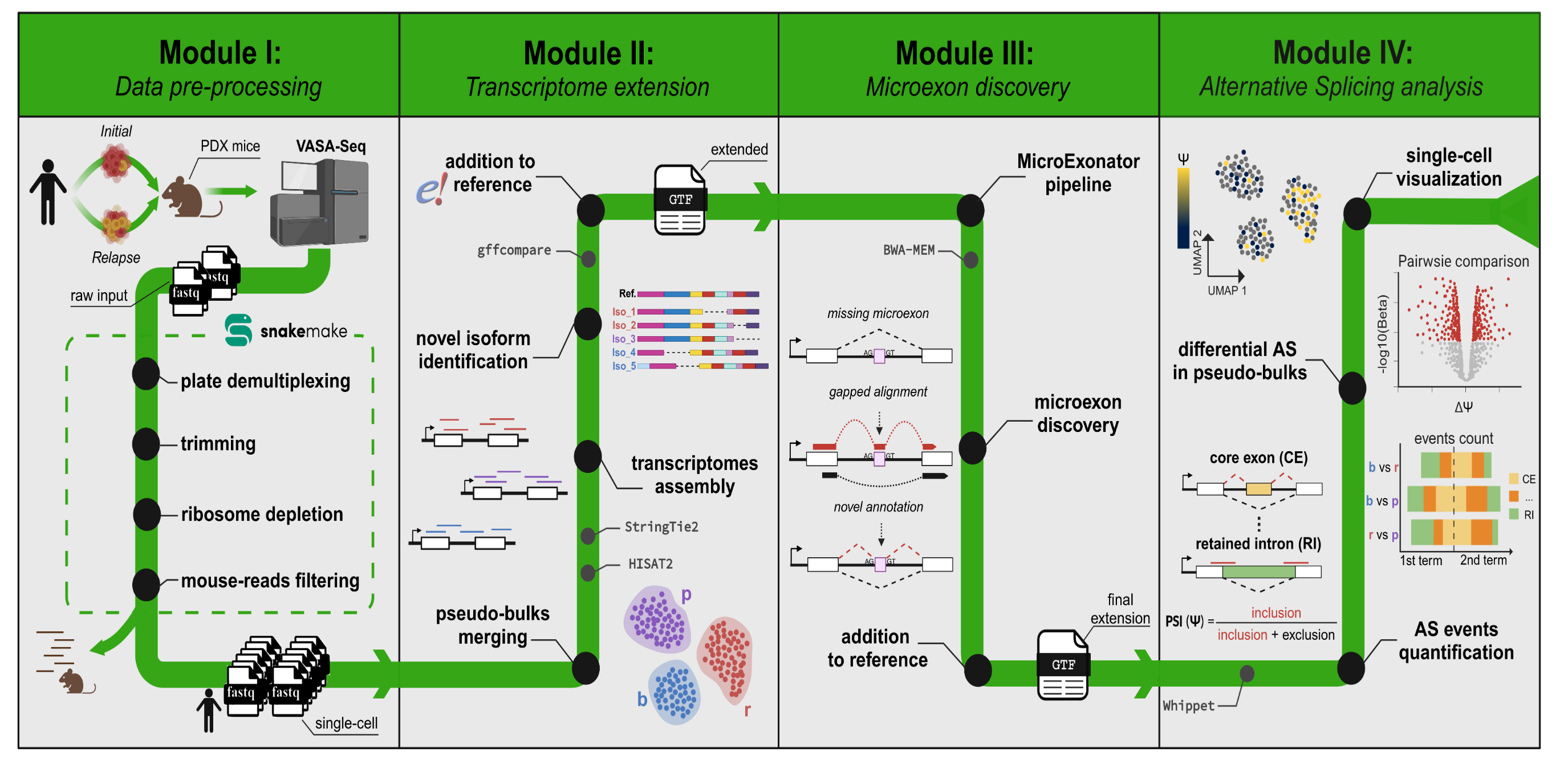 GitHub - Zaffe24/AS_VASAseq_sc_pipeline: Description of the computational workflow employed for ...