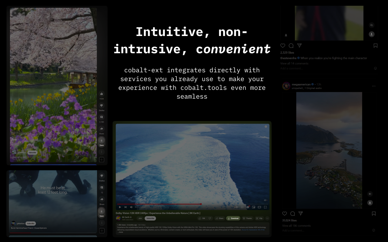 GitHub - Sidd-underscore/cobalt-ext: a browser extension that allows you to conveniently ...