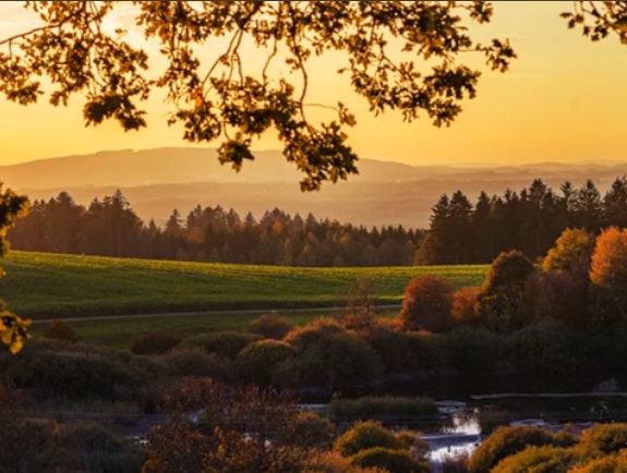 GitHub - Esubaalew/django-bt: A template for deploying python-telegram-bot bots with django