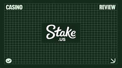 stake-fake-balance/assets/hynenwei.webp at main · vaszotovmic/stake ...