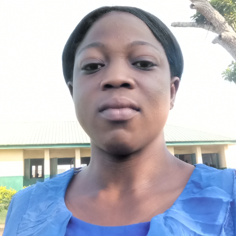 GitHub - Toyexstars/Toyexstars: Config files for my GitHub profile.