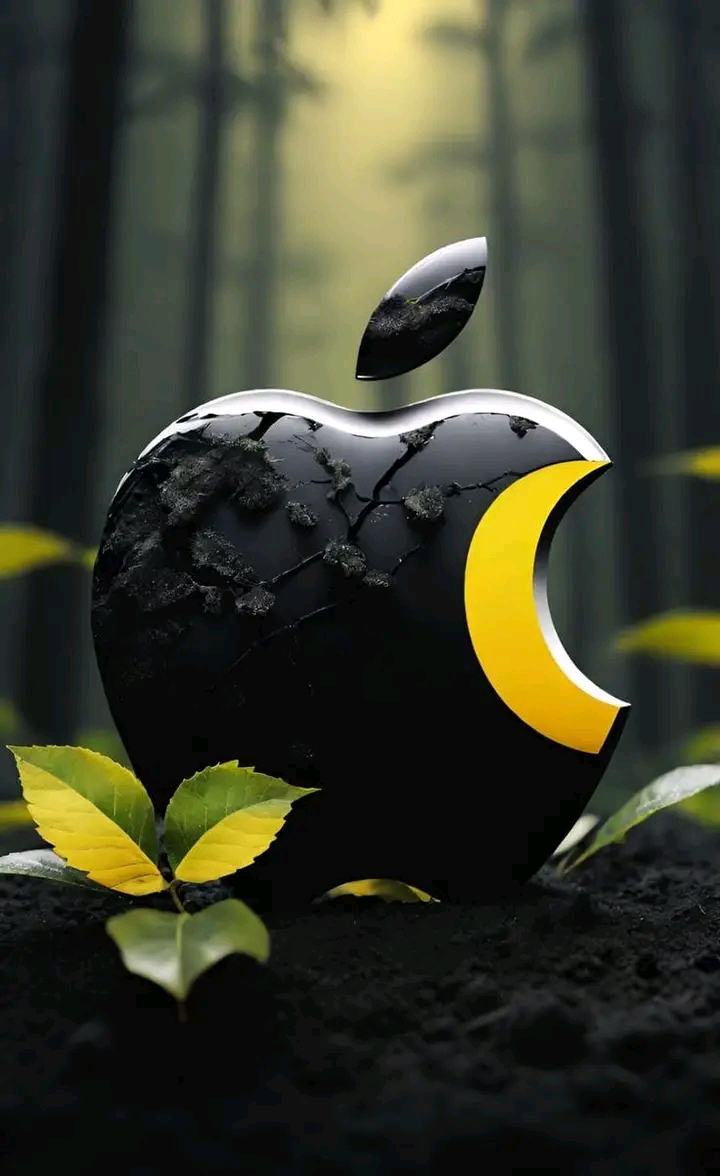 GitHub - YegonVic/kalvix-XM