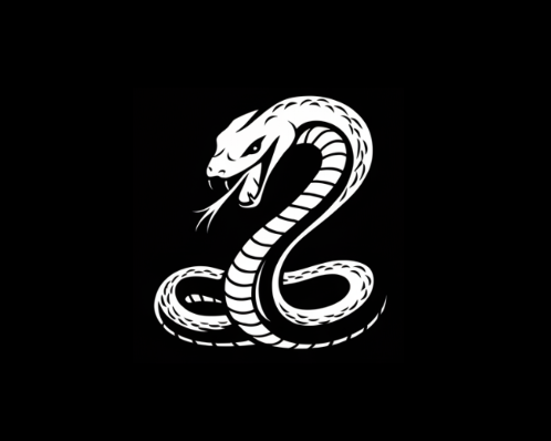 GitHub - JDSoar/Viper_Offensive_Toolkit: The Viper Offensive Toolkit is ...