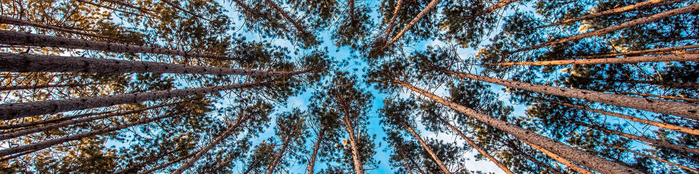 GitHub - movephutthaphaiboon/epa_tpmmodel_2024: Engineering and Policy ...