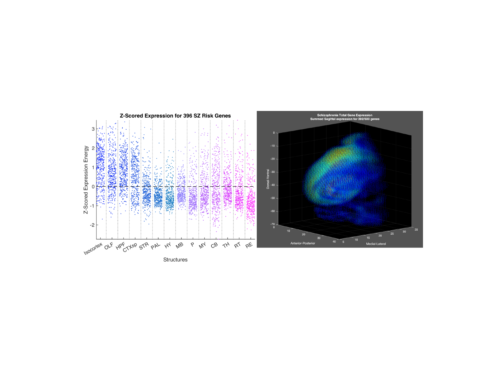 GitHub - nubs01/GeneQuery: For Querying the Entrez and Allen Gene ...