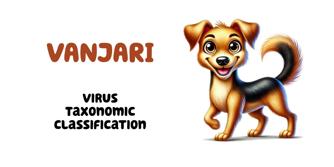 vanjari/vanjari_demo.ipynb at main · bloodhound-devs/vanjari · GitHub