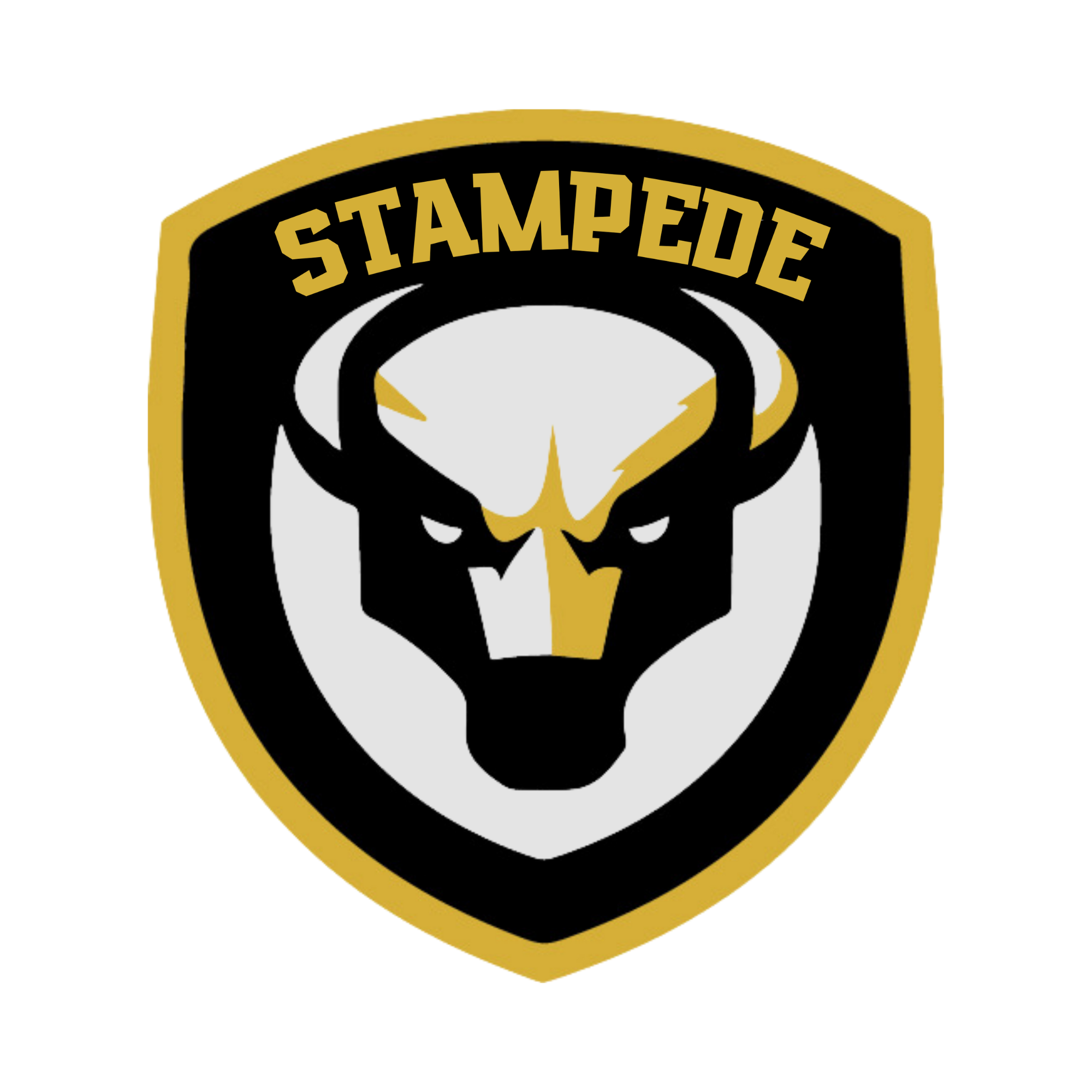 stampederacing.github.io/index.html at main · stampederacing/stampederacing.github.io · GitHub