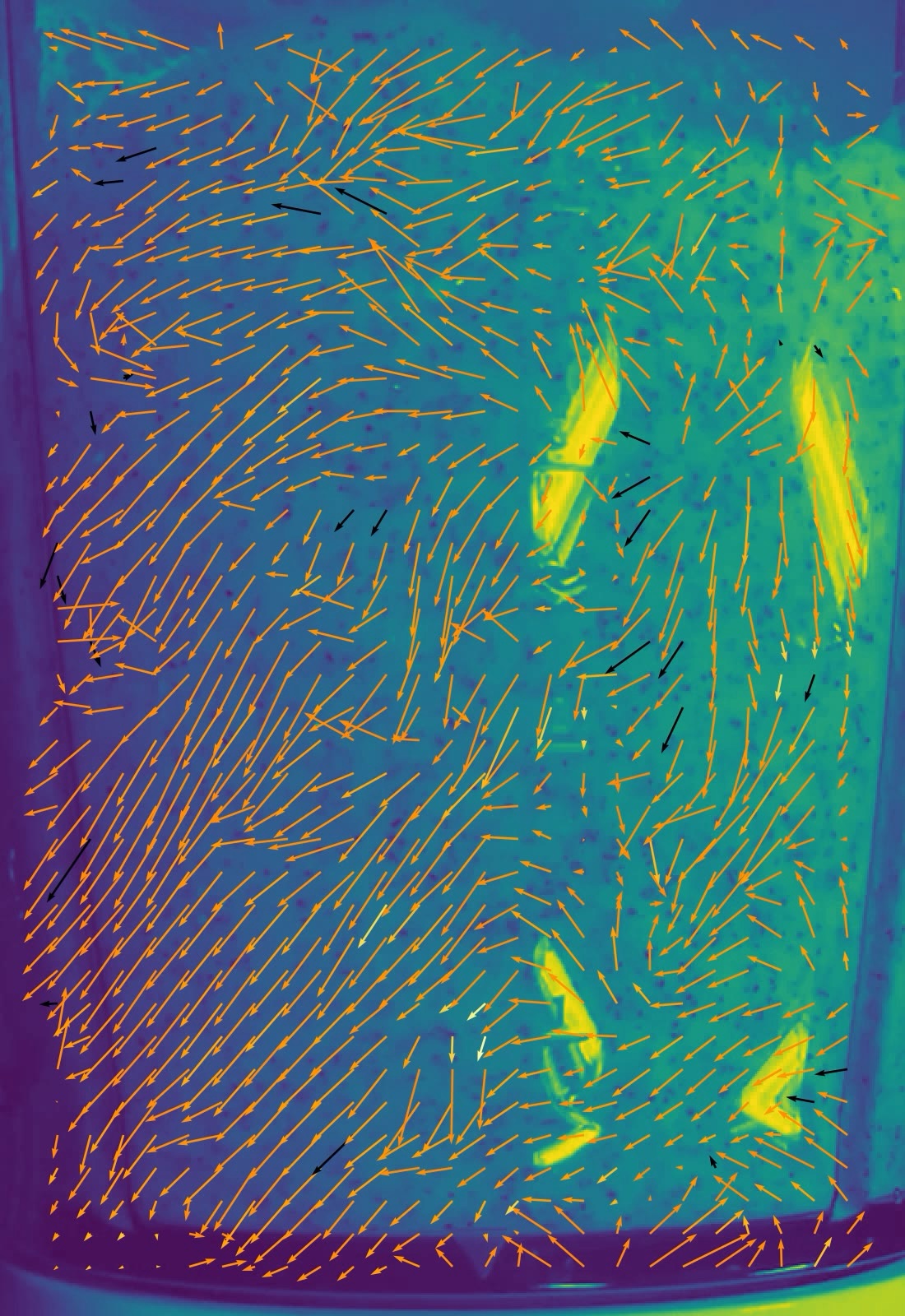 GitHub - DTP587/pypiv-test: Test of PIV capabilities using `opencv ...