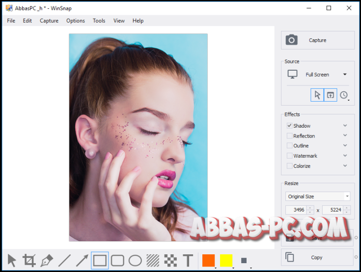 the-diary-of-emily-winsnap · GitHub Topics · GitHub