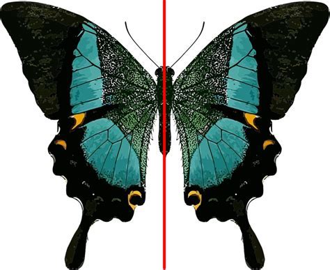 GitHub - grey-box/Project-Symmetry-AI: Symmetry leveraging AI ...