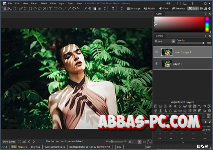 acdsee-photo-studio-ultimate-2018-deutsch-crack · GitHub Topics · GitHub