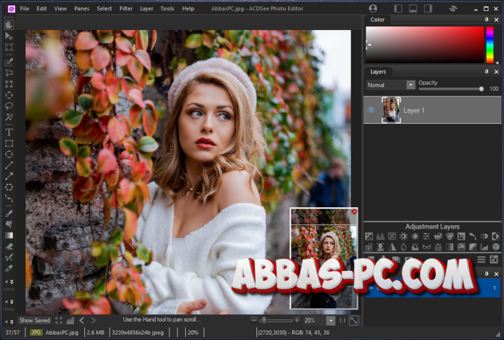 acdsee-photo-editor-for-windows-10 · GitHub Topics · GitHub