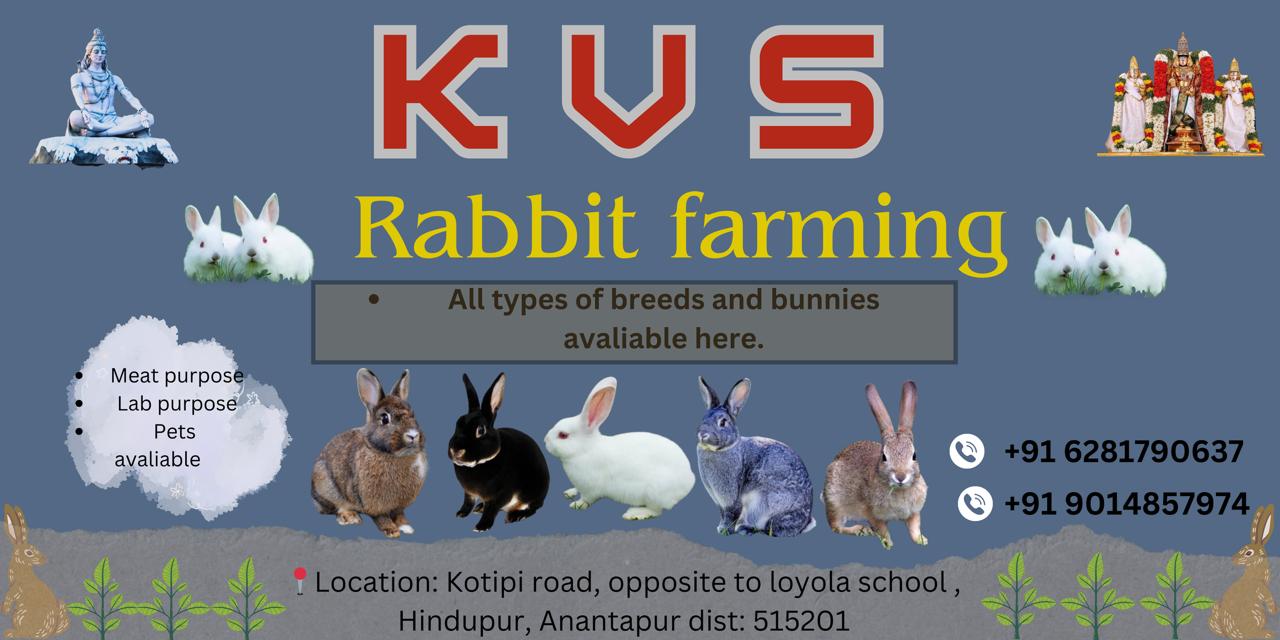 GitHub - KVSRABBITFARMING/KVS-RABBIT-FARMING