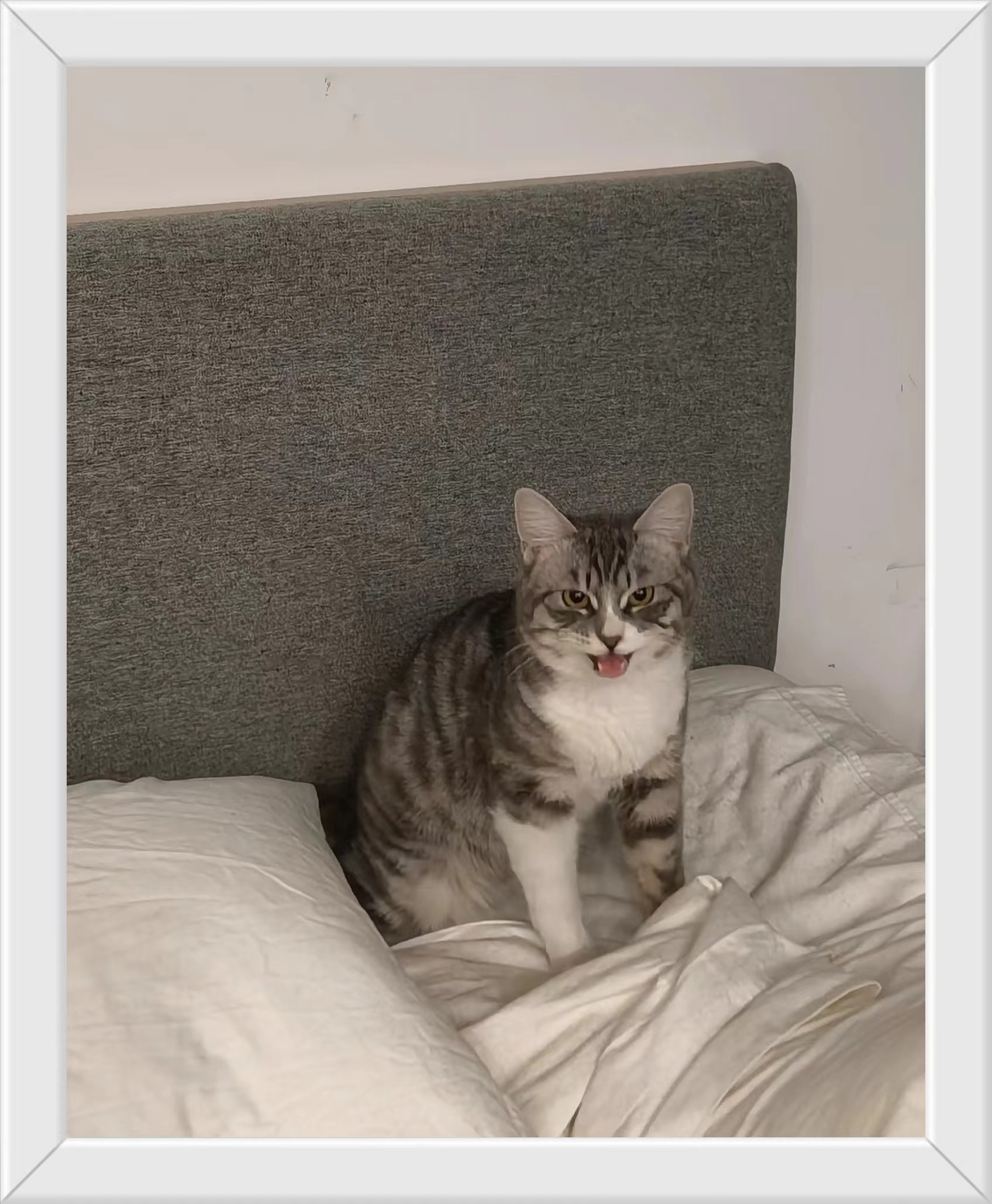 GitHub - zhanpeng-xue/qiqi: 静态页