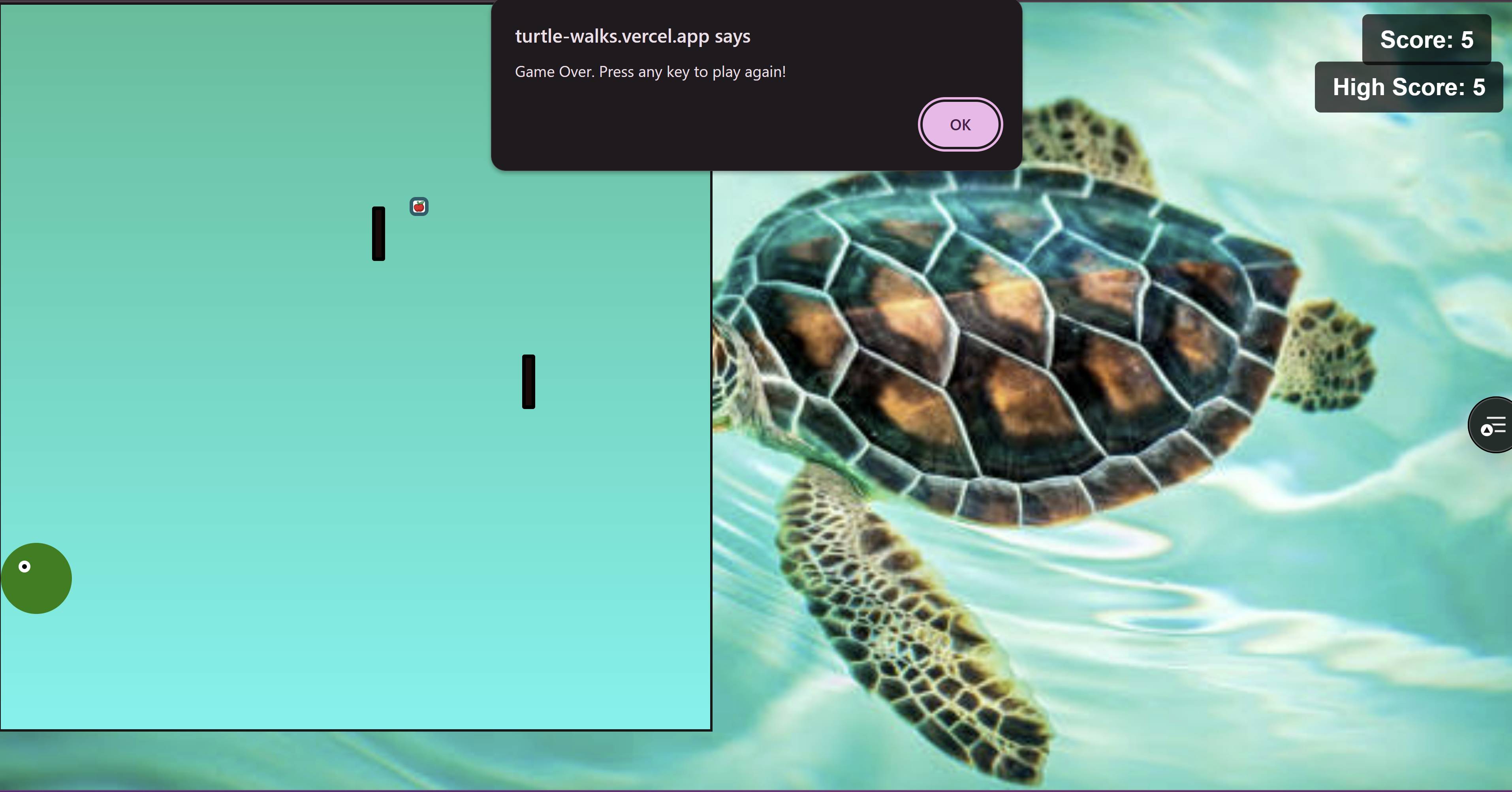 GitHub - piku5445/Turtle-Walks