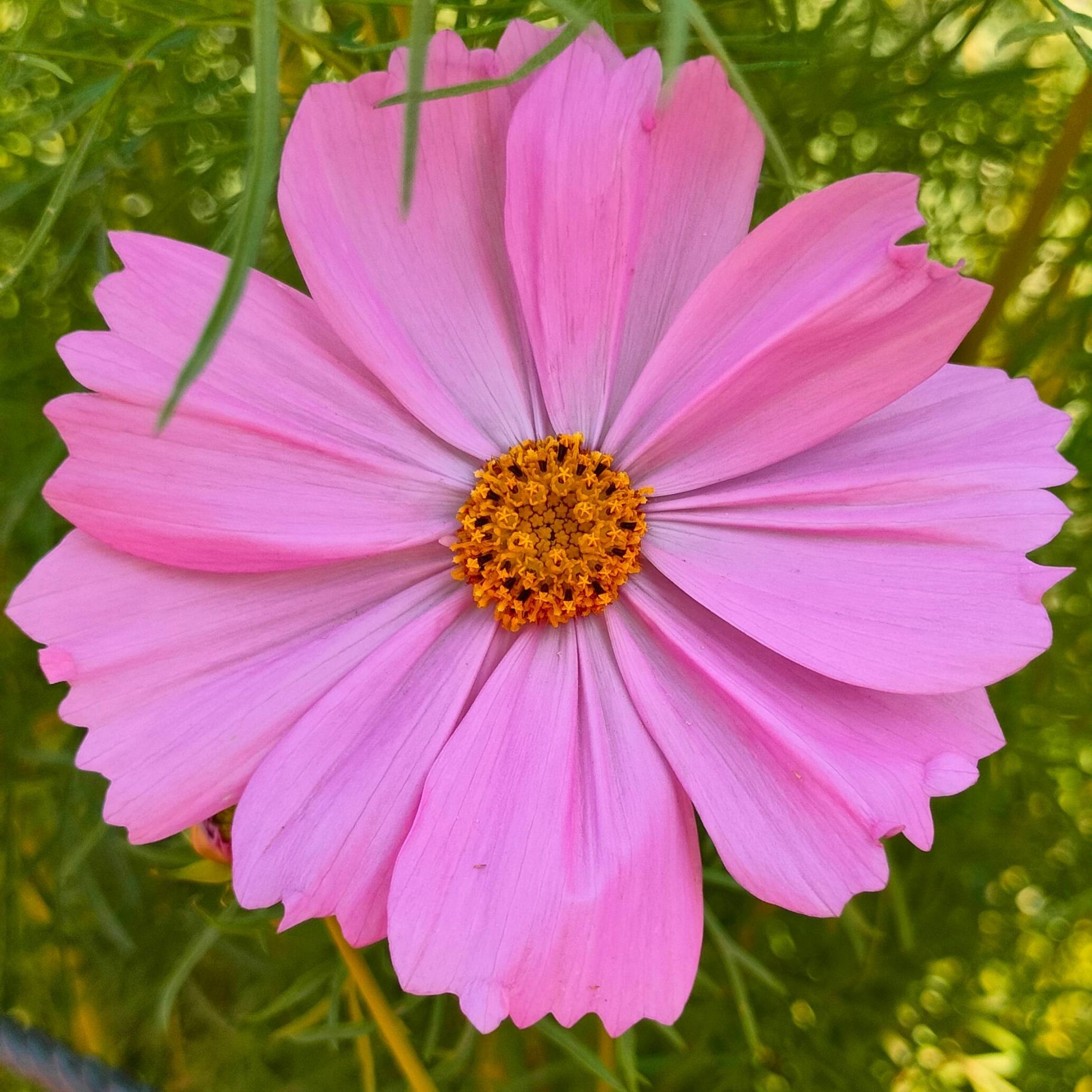 GitHub - global-Currency-hub/Image-compress2